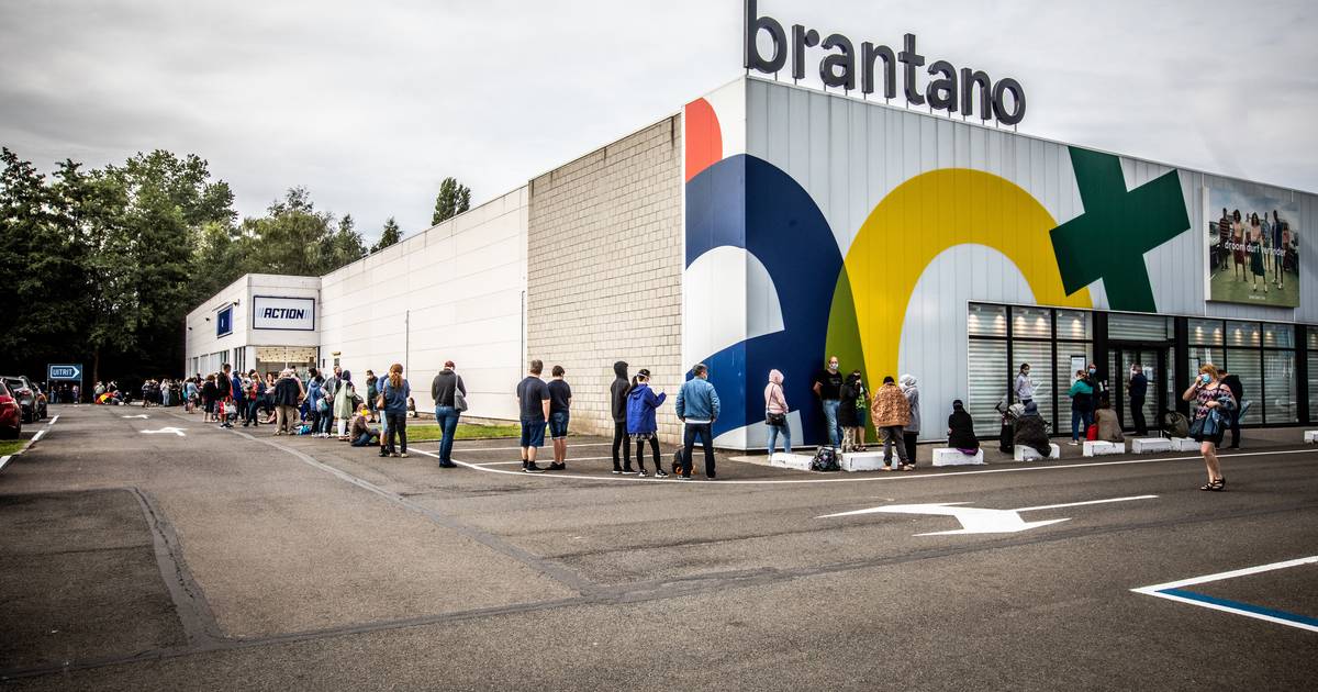 VanHaren neemt 40 Brantano-winkels over waarvan 3 in Limburg | Hasselt ...