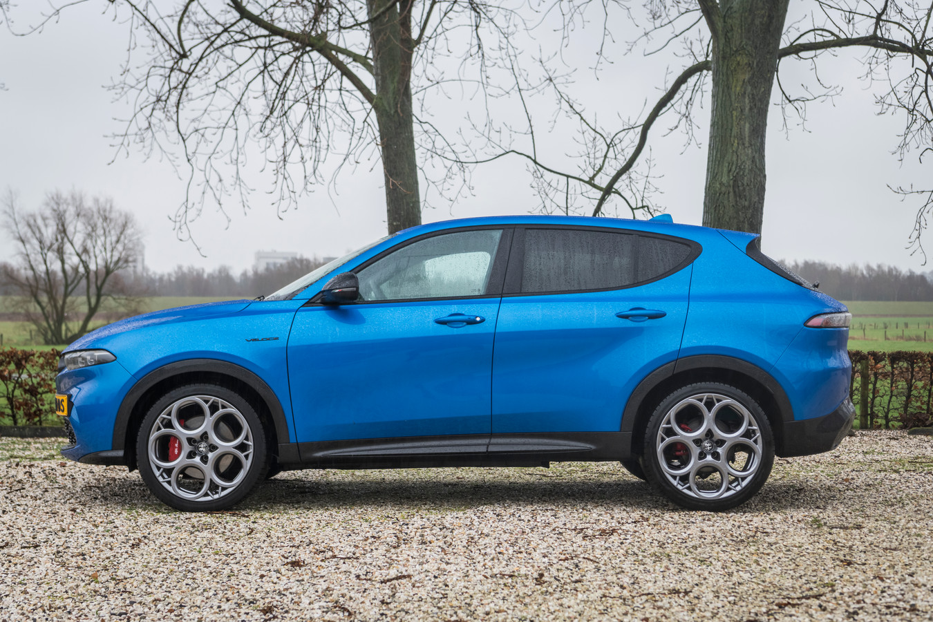 Test Alfa Romeo Tonale: eindelijk weer een teken van leven | Foto | ed.nl