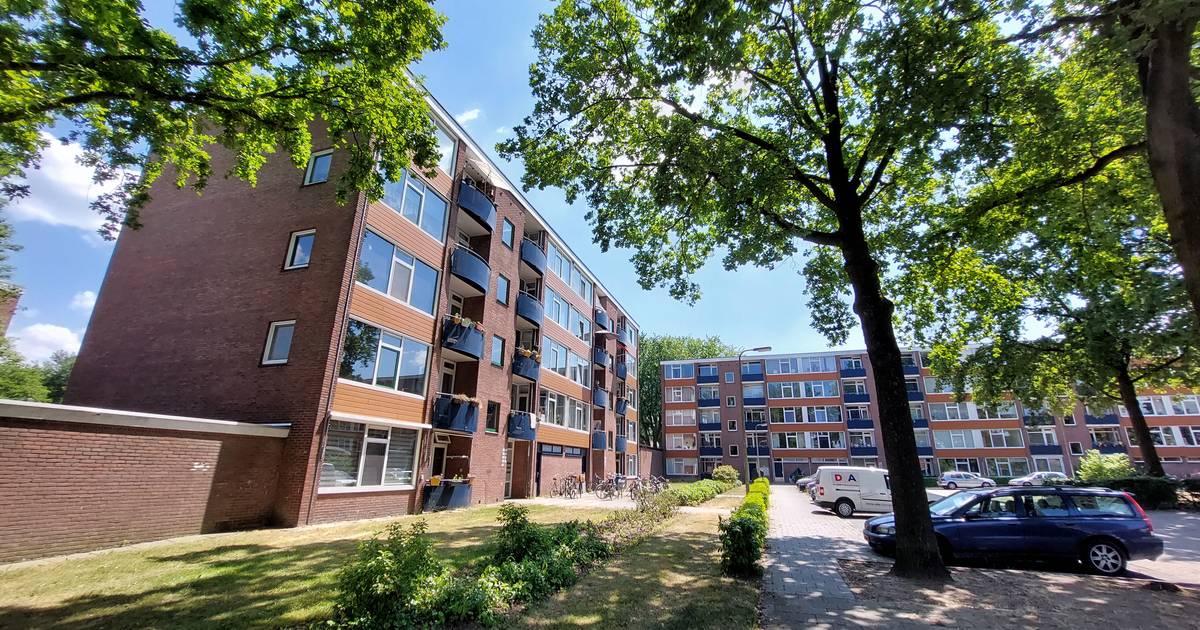 Oost-Europese arbeidsmigranten moeten Deventer flat verlaten na ...