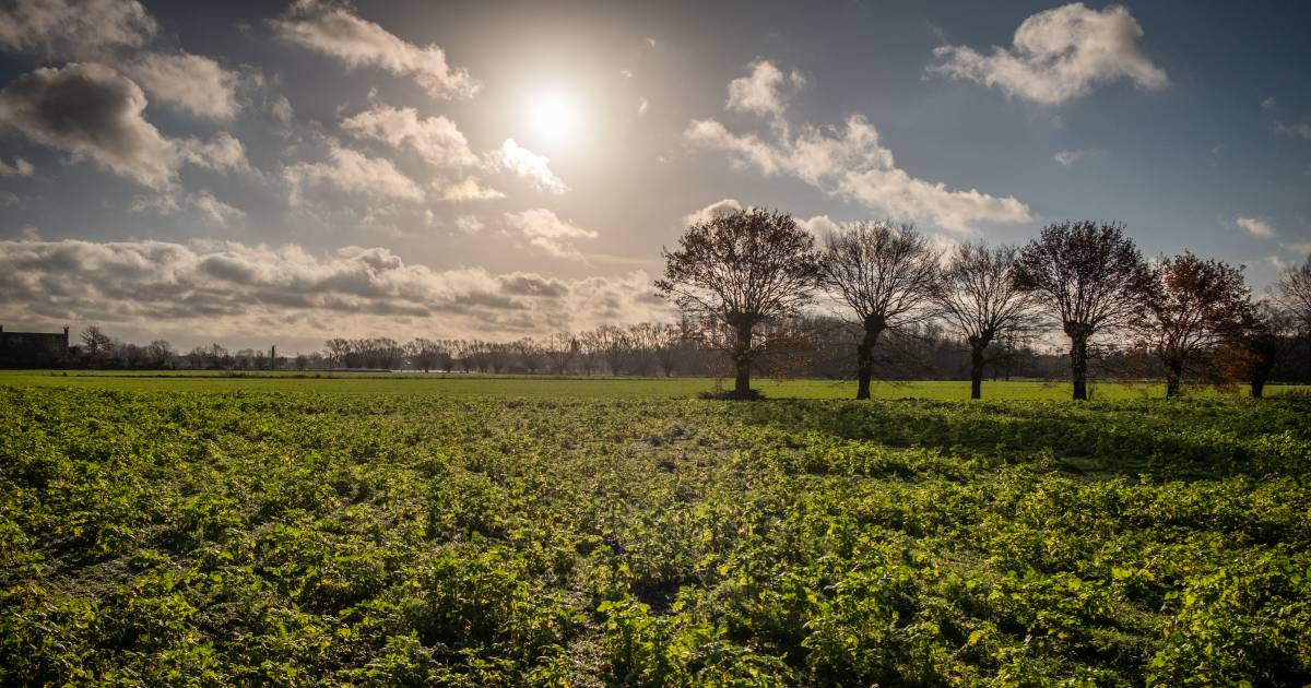 Zonnig, droog en tot 15 graden vandaag, ook weekend verloopt droog en ... Zonnig, droog en tot 15 graden vandaag, ook weekend verloopt droog en ...
