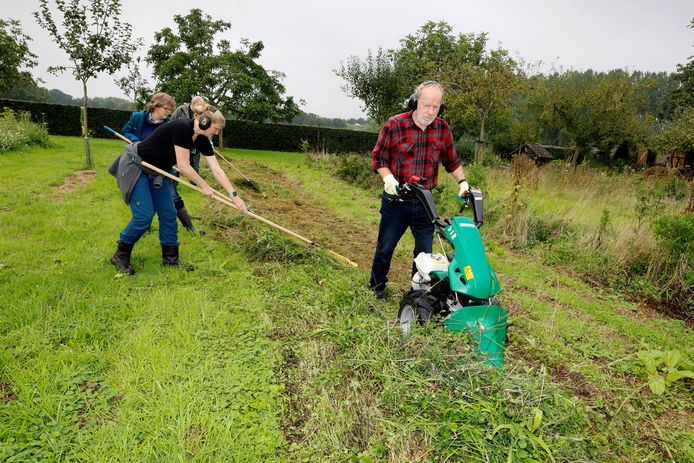 Biodiversiteit met maaibeleid en een beetje slordigheid: ‘We zien al ...