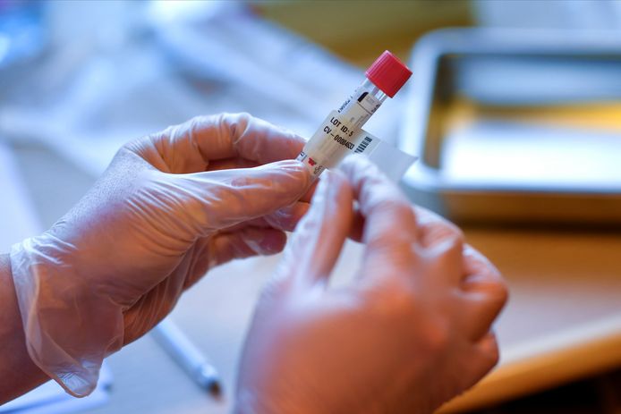 Overzicht Gemiddeld Aantal Besmettingen Stijgt Tot Boven 500