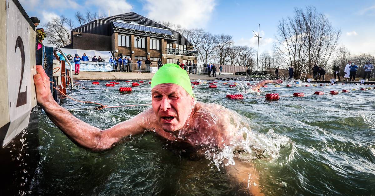 IN BEELD. Met 120 ijsberen het (niet zo) koude water in: “Voor ons ...