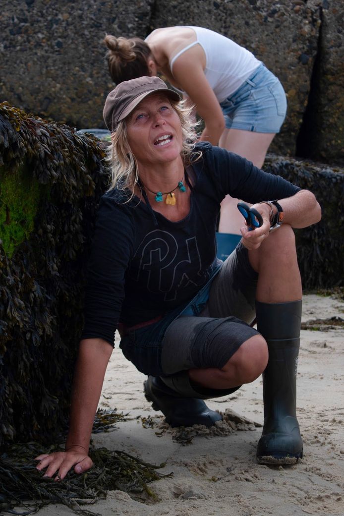 Het is slijmerig en het ruikt, maar zeewier is bijna goed voor alles | Veere | AD.nl