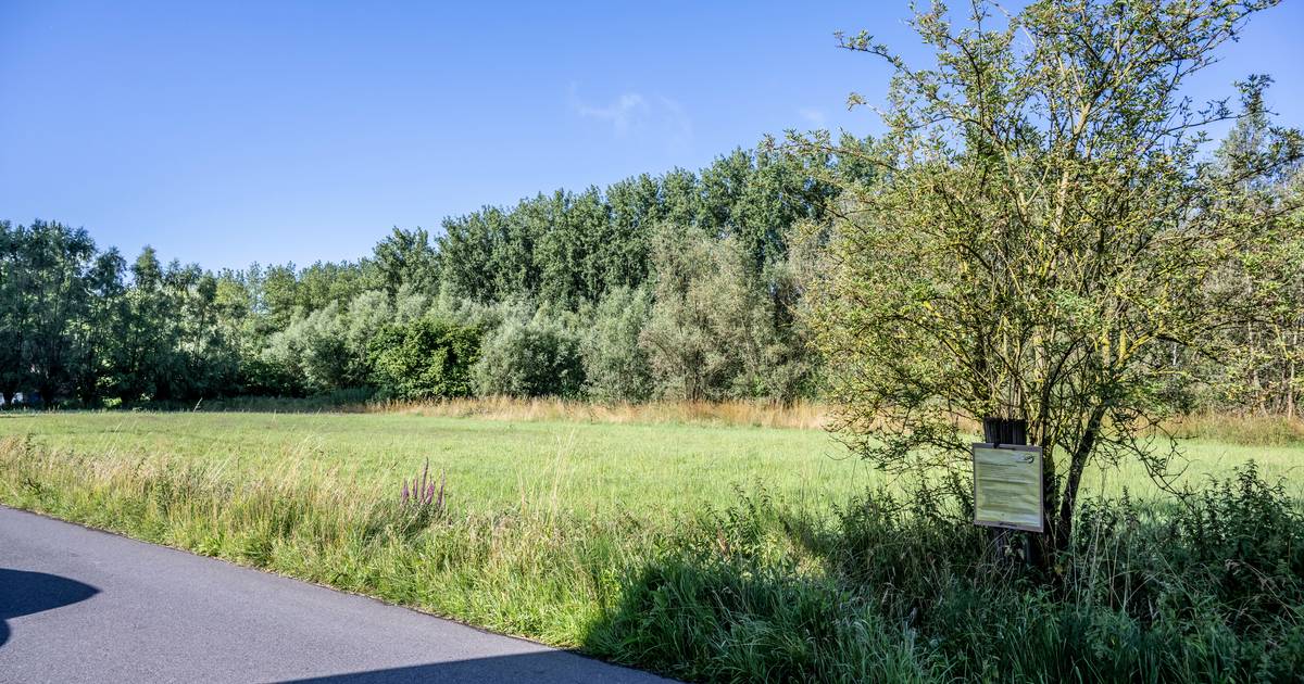 Nieuwe randparking voor Vlassenbroek: werken starten midden februari ...