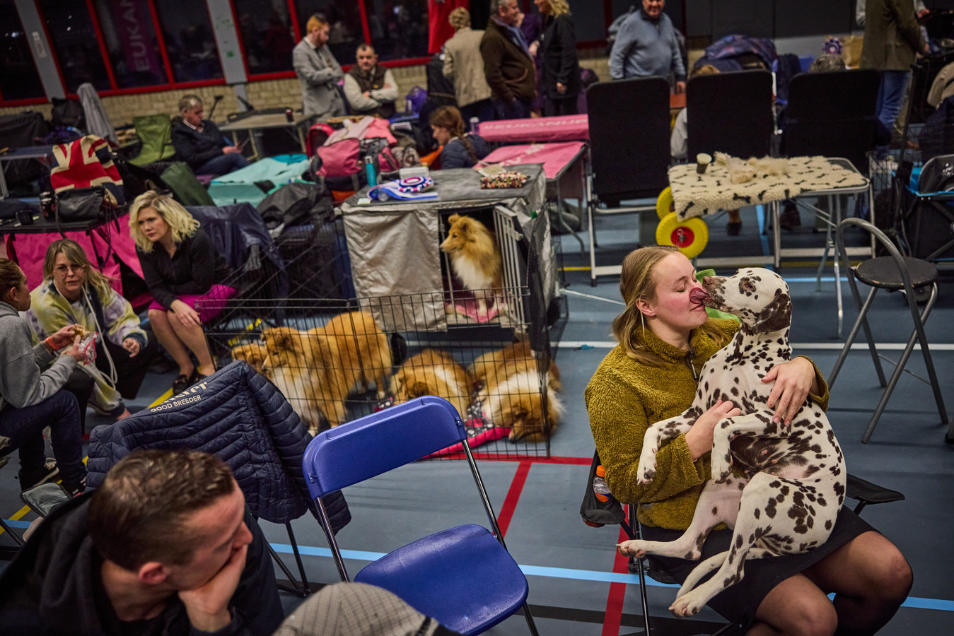 De hondenverkiezing: zielig, of een feest voor mens en dier? ‘Mijn ...
