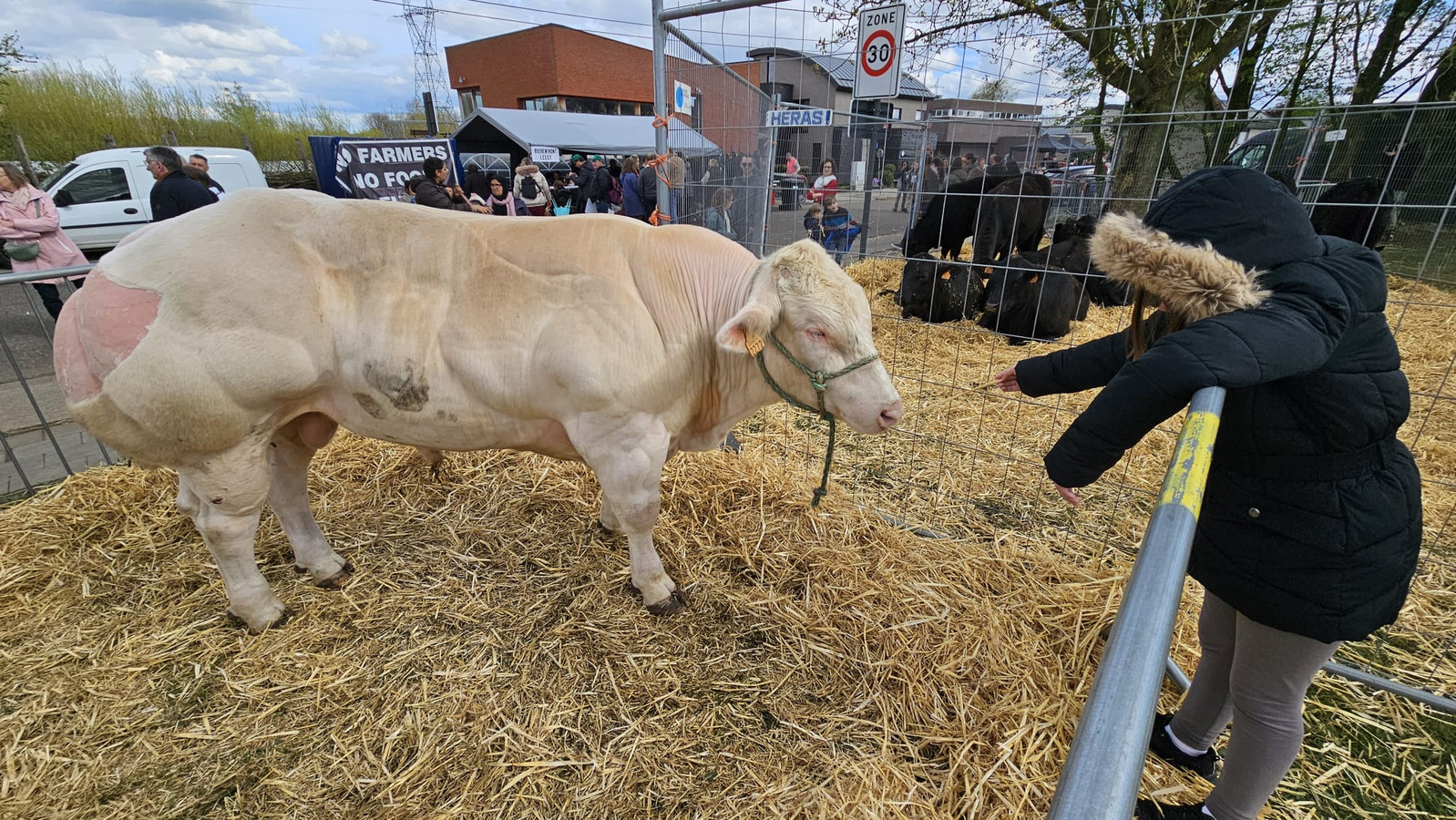 Over de koppen lopen op de dertigste en laatste (?) editie van Posse ...