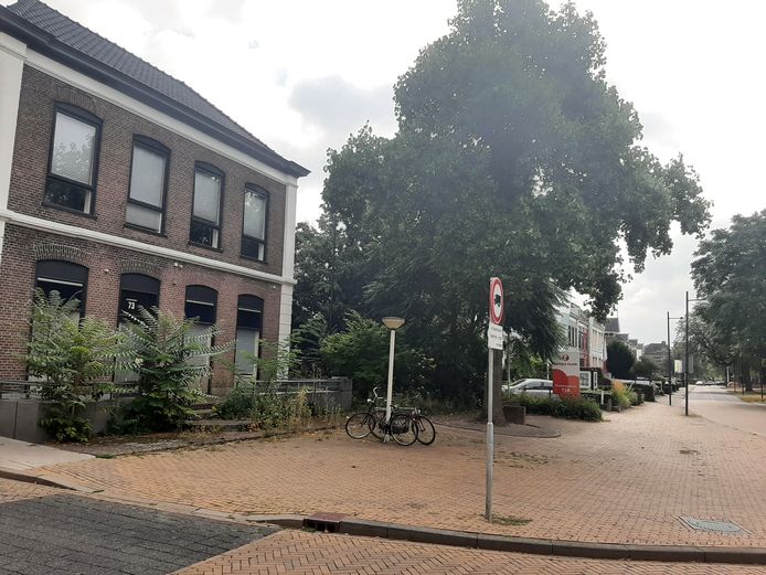 Zorgen over verstening nu nog lommerijke Doetinchemse villastraat ...