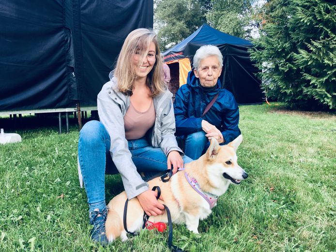 IN BEELD. Honderd hondenbaasjes doen mee aan nationale Corgiwandeling ...