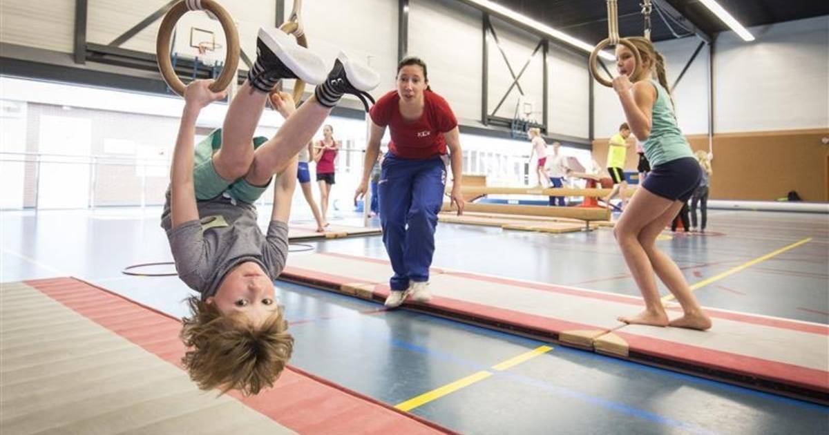 Gymleraar voor vijf Losserse basisscholen | Losser | tubantia.nl