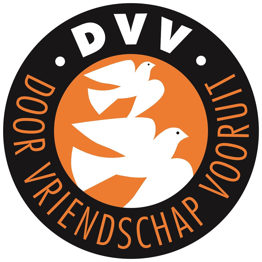 DVV verliest met 4-2 van Redichem | Foto | gelderlander.nl