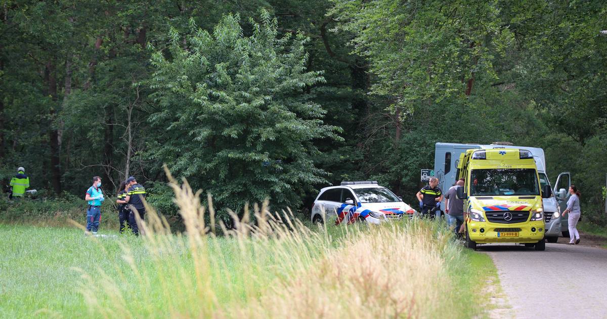 Ruiter overlijdt na val van paard in Putten | Veluwe | destentor.nl