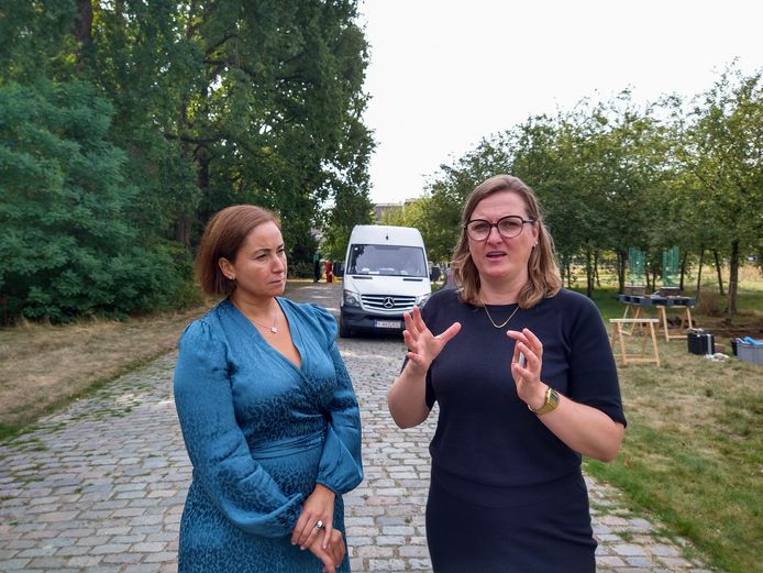 Operatie ‘Middelheim 2.0’: Antwerps openluchtmuseum gaat indrukwekkende ...