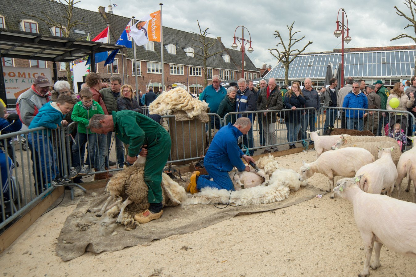 Boerenmaandag in Nijkerk wil beter imago | Foto | AD.nl