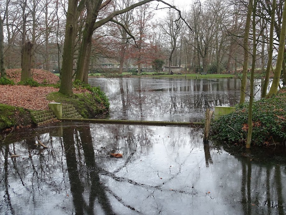 HUIZENJACHT. Merksplas in de Noorderkempen: “De unieke ...
