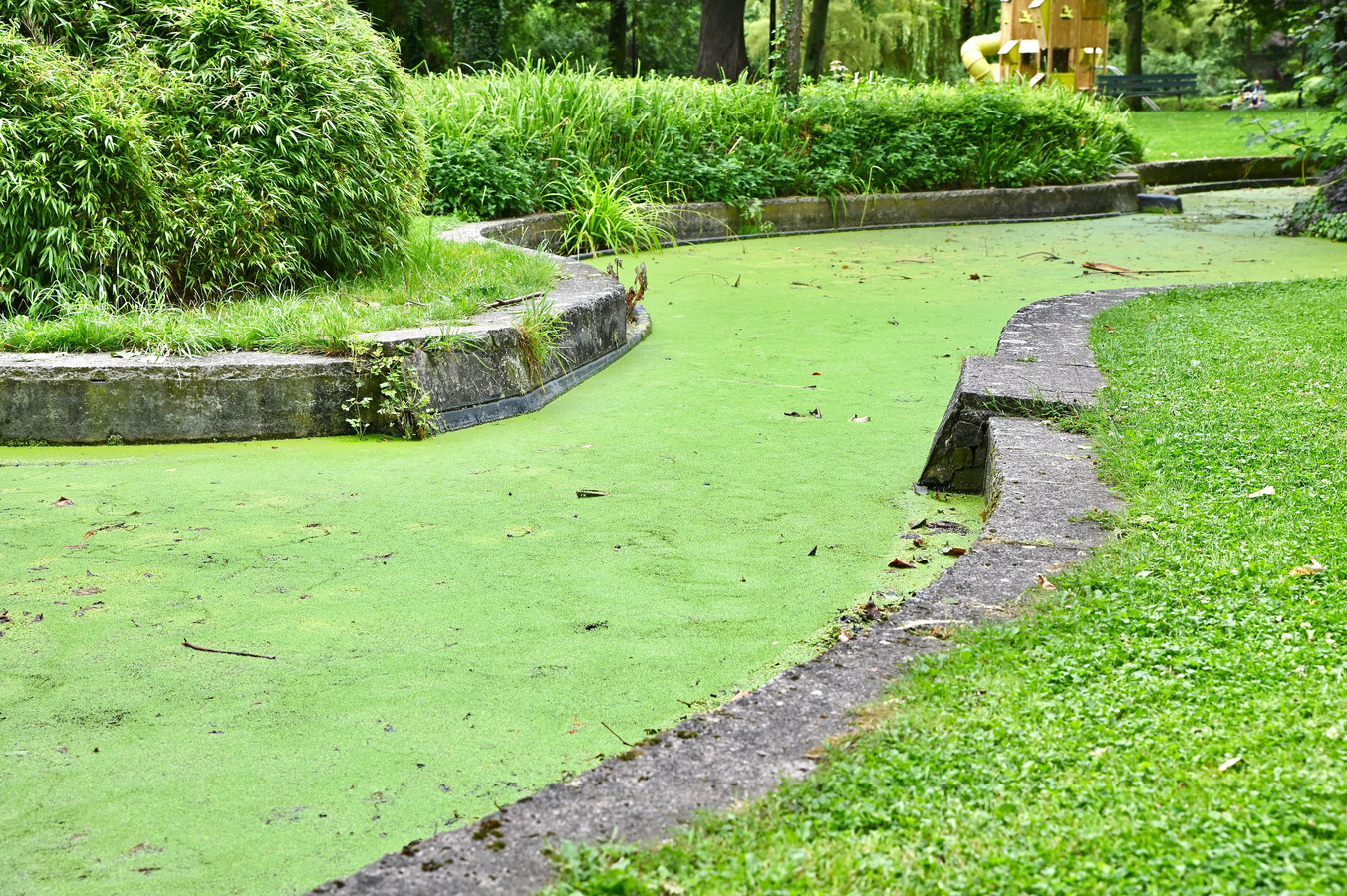 Kind (3) tuimelt in ‘onzichtbare’ vijver van Brouwerspark: “We bekijken ...