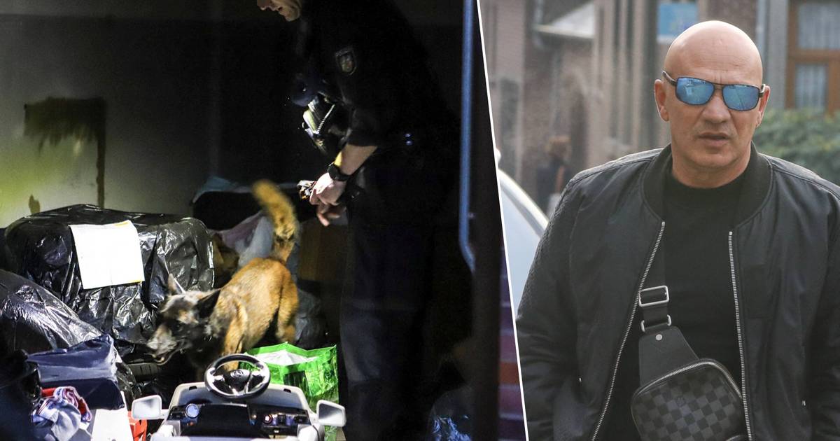 Belgische politie arresteert Lucio Aquino na “grootste onderzoek naar ‘ndrangheta ooit”: Italië ...