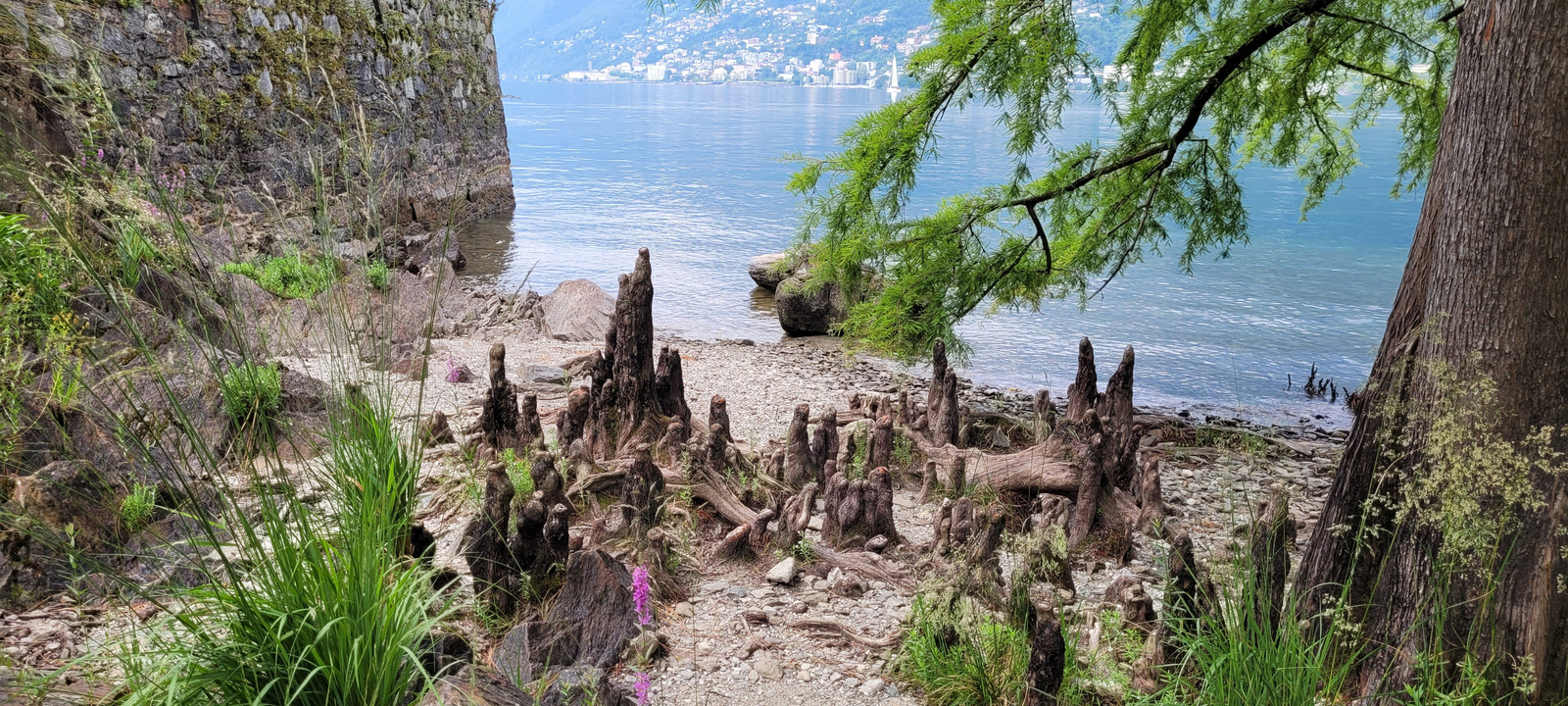 Dit zijn de mooiste zomerfoto’s van dit moment! | Foto | AD.nl