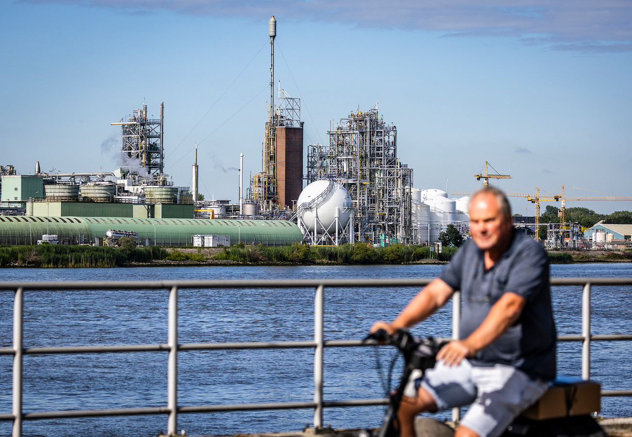 Chemiefabriek loosde waarschijnlijk maandenlang te veel gif: ‘Dit is ...