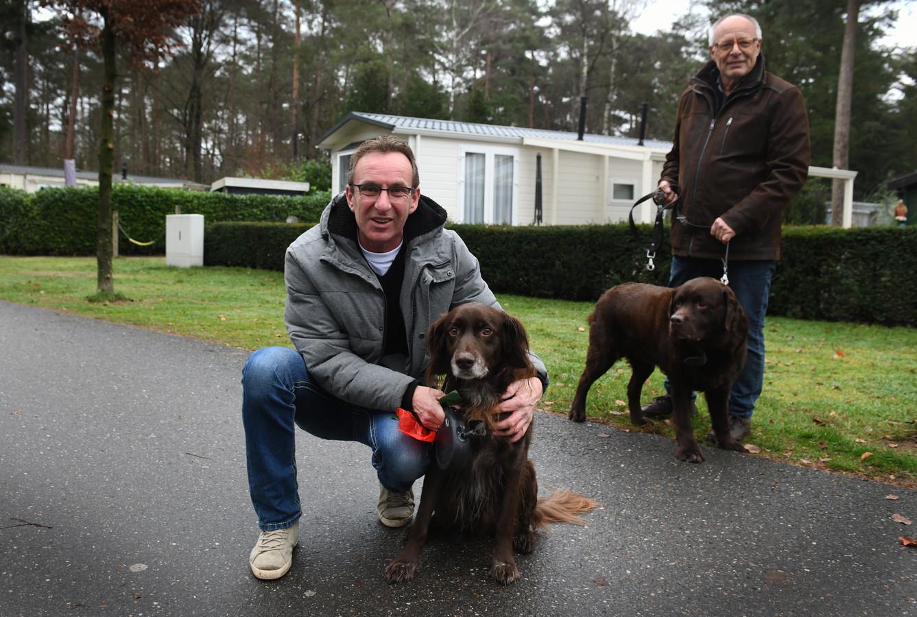 Honden blij in vuurwerkvrij vakantiepark in Doorn | Foto | AD.nl