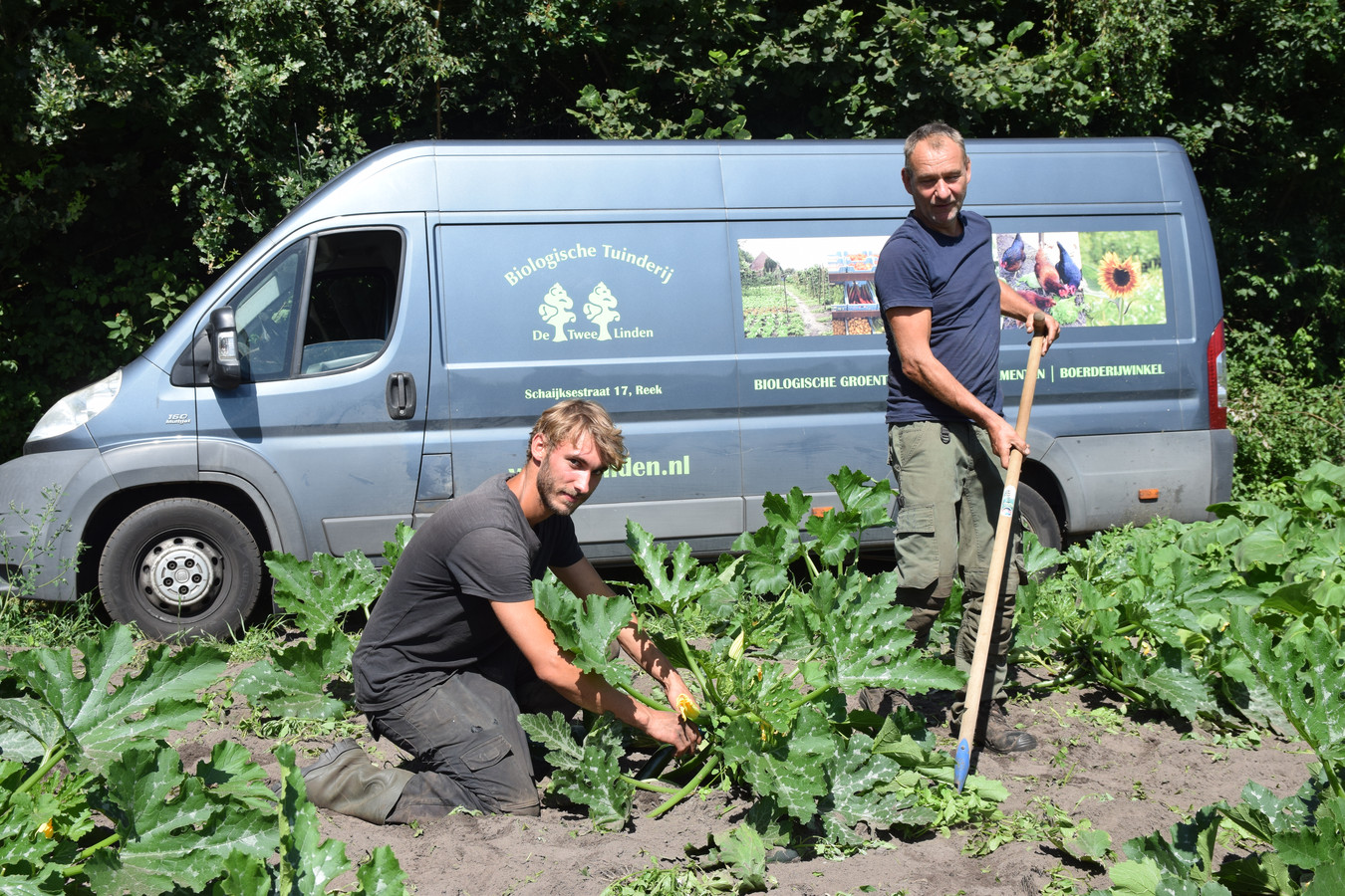 Opmars van het biologische groentepakket: ‘Iedereen zou het moeten doen ...