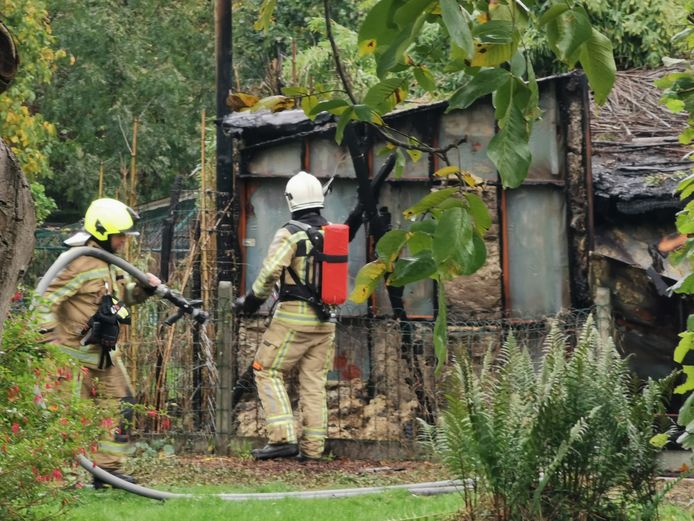 OVERZICHT. Storm Ciarán laat spoor van vernieling achter in Vlaanderen ...
