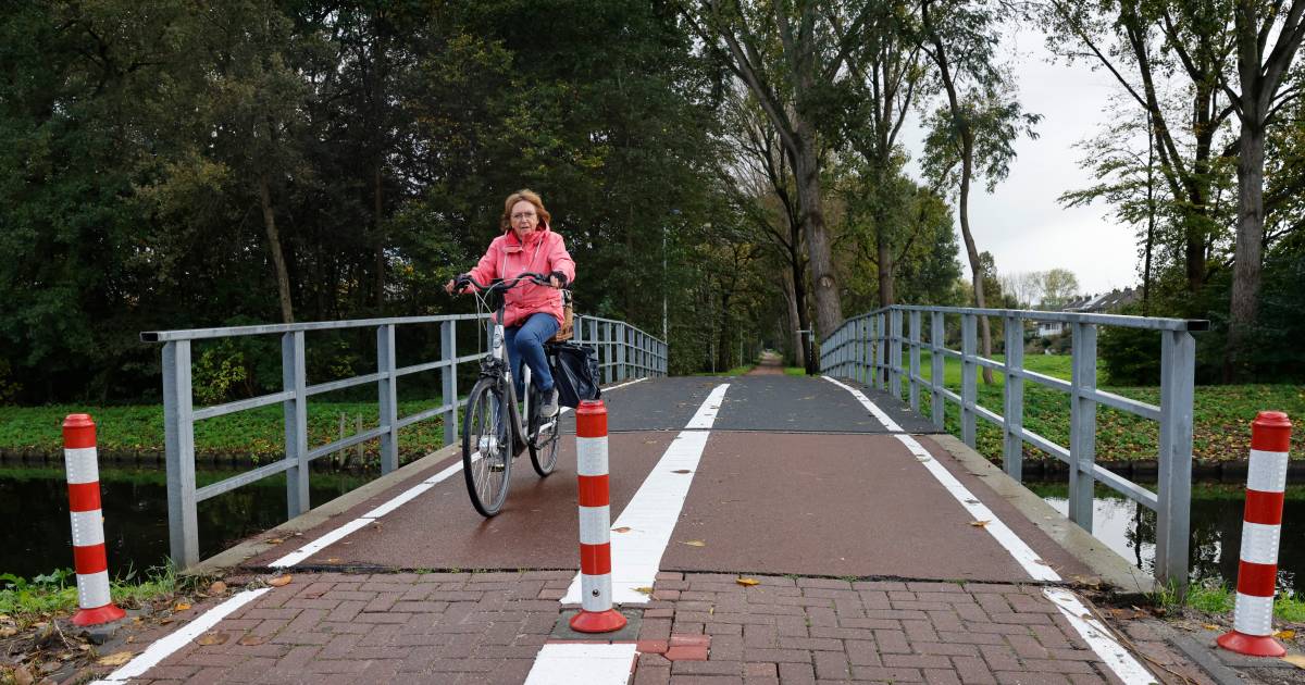 Nieuwe paaltjes moeten voorkomen dat argeloze fietser tegen zo'n ...