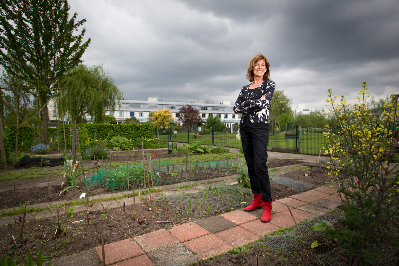 Nestje ganzenkuikens in december en andere verhalen over de natuur die ...