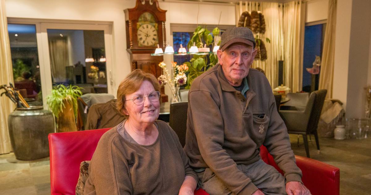 Overvaller Helmonds ‘kerstbomenvrouwke’ krijgt ook in hoger beroep vijf jaar cel | Helmond | ed.nl