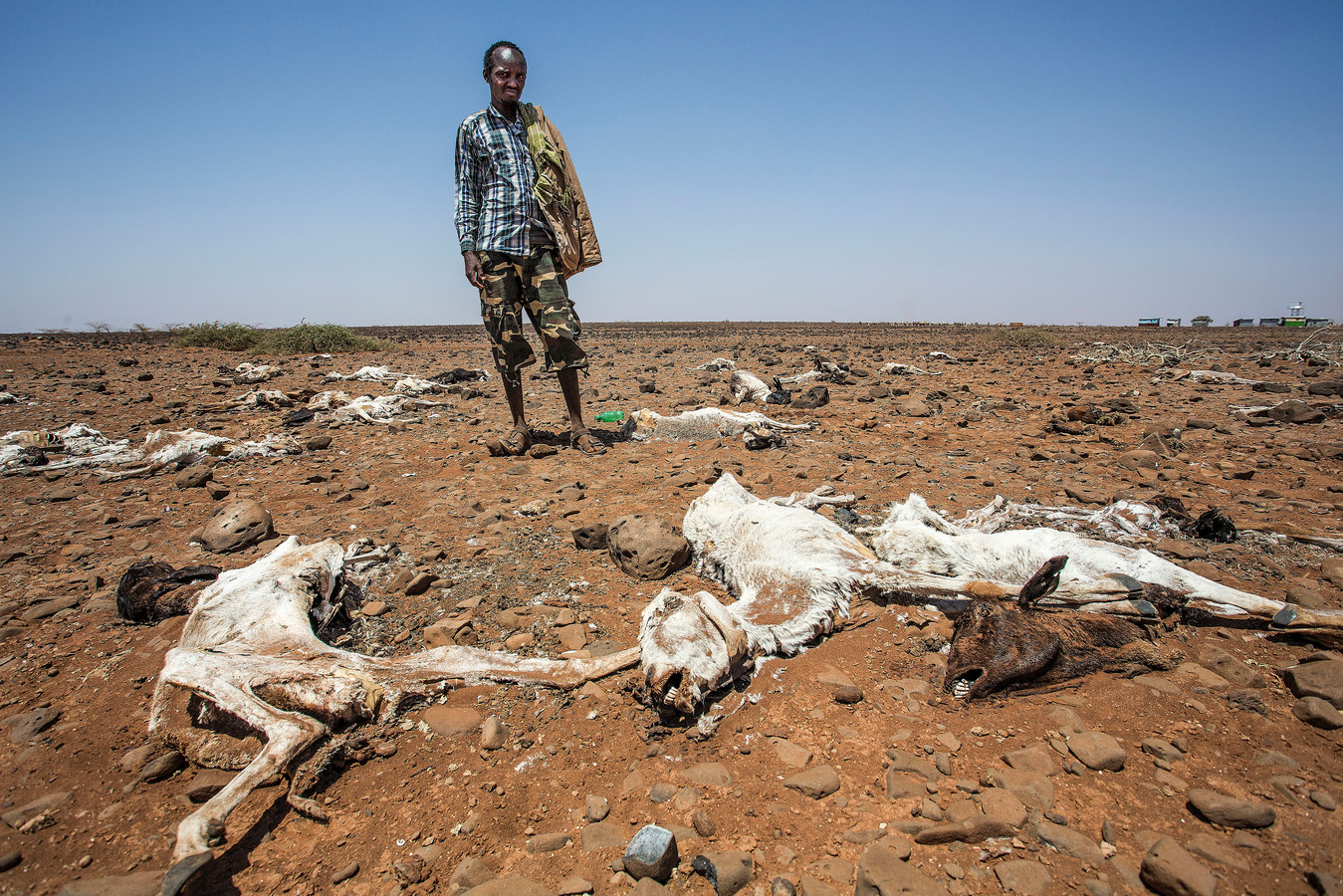 Nationale hulpactie via Giro 555 voor hongerend Afrika | Foto | AD.nl