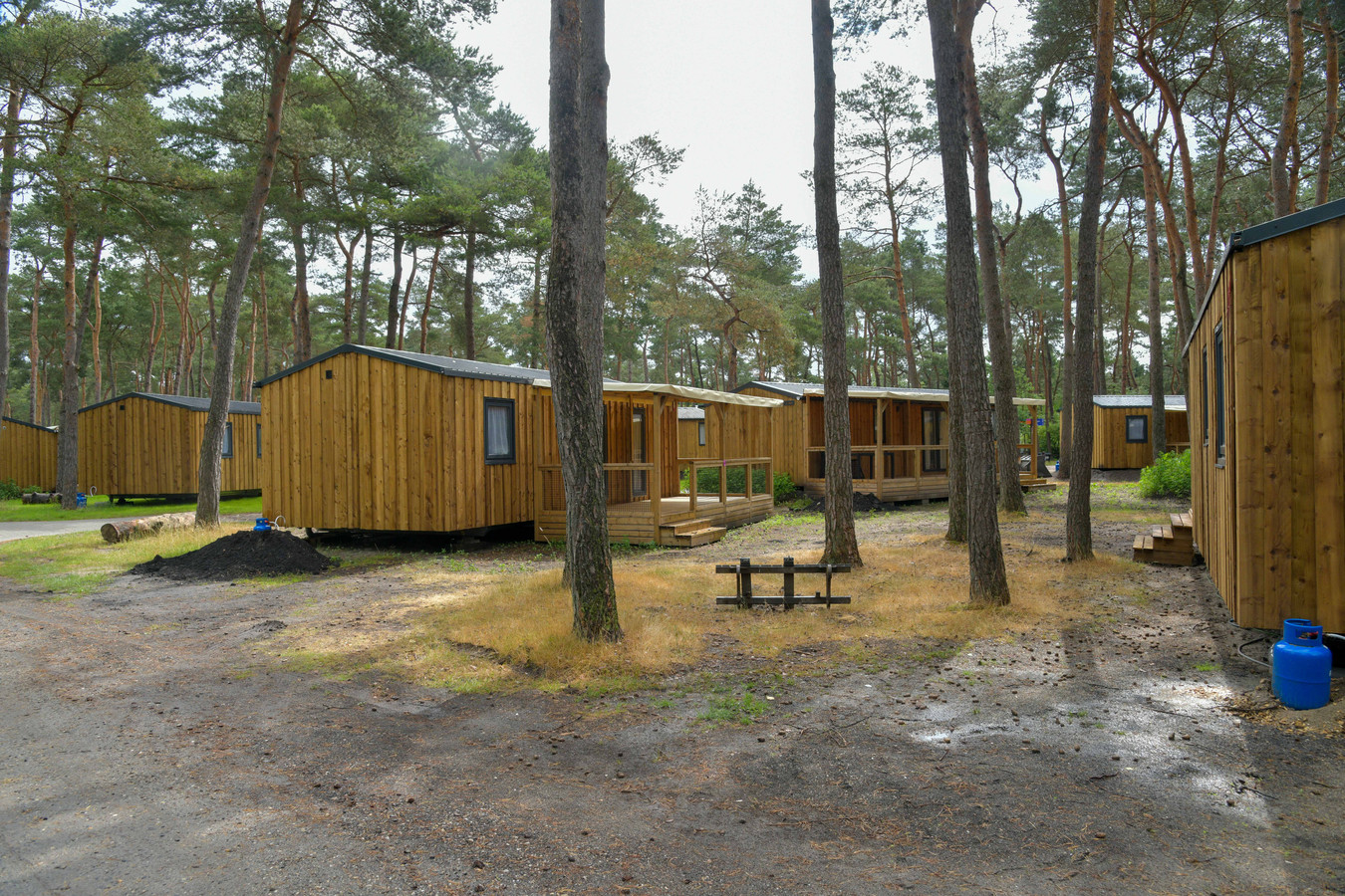 Campinggasten vrezen gesloten slagboom: ‘Poepende koe verboden, maar ...