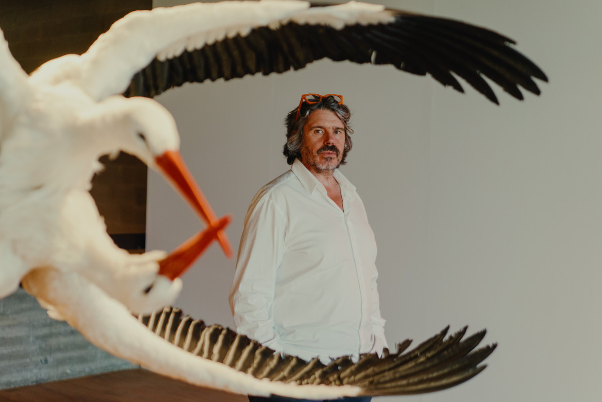 ‘We zouden kunst beter bekijken als een soort kennisvorming’: Koen ...