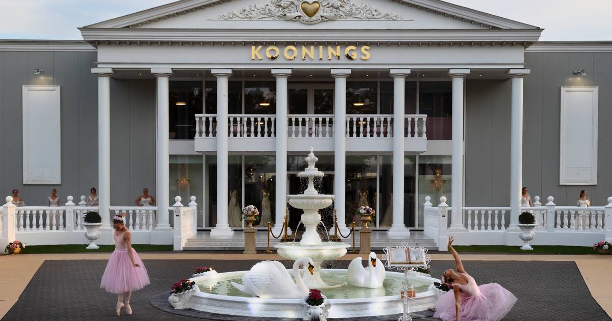 Twee zwanen toegevoegd aan fontein Koonings Deurne | Deurne | ed.nl