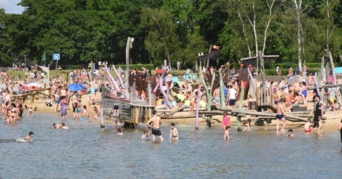 6.000 zwemmers in recreatiedomein Hofstade: “Zwemwater van uitstekende ...