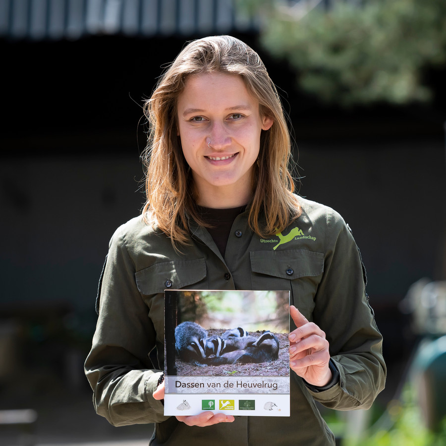Boekje over dassen op de Utrechtse Heuvelrug: wollig, speels en ...