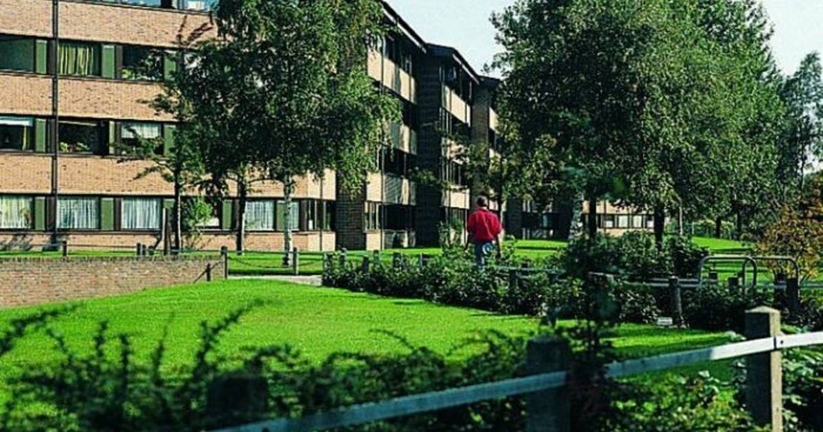 SSHN gaat overlast studenten indammen | Nijmegen | AD.nl