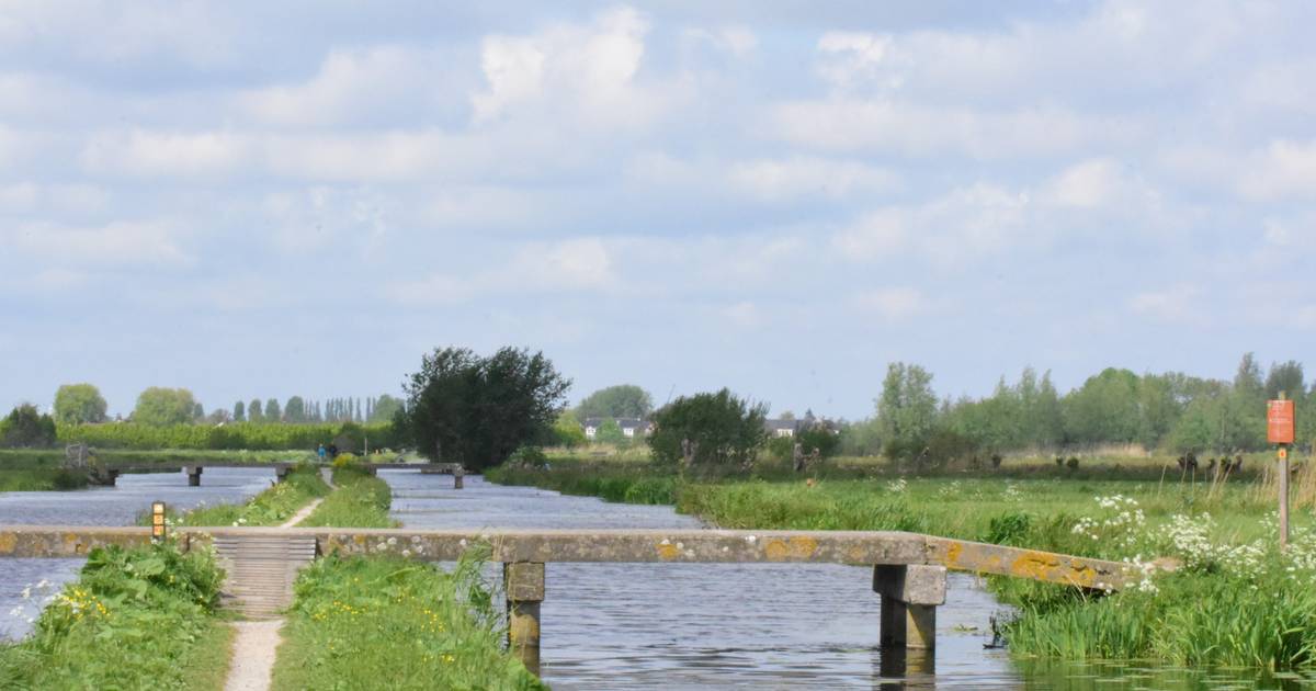 Betere waterdoorstroming in Polder Bloemendaal met nieuwe brug ...