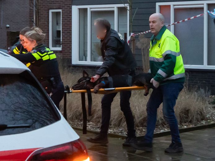 Michiel probeert nekwond nog dicht te drukken, maar zijn hond Obbe ...