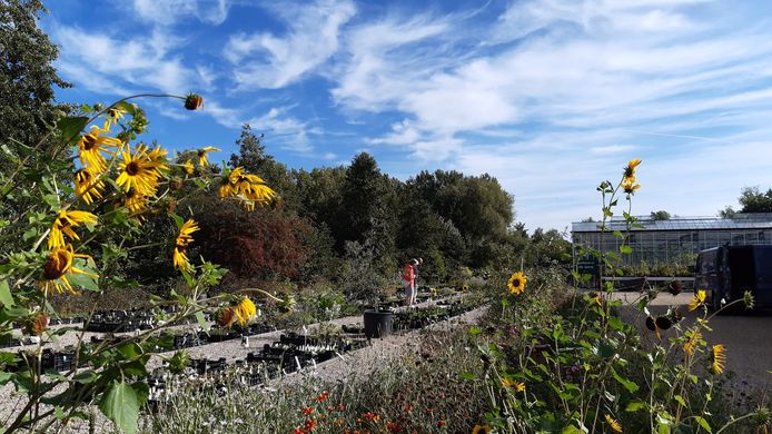 Opendeurdag Bioboerderij De Loods: “Boordevol fris plantgoed, kruiden ...