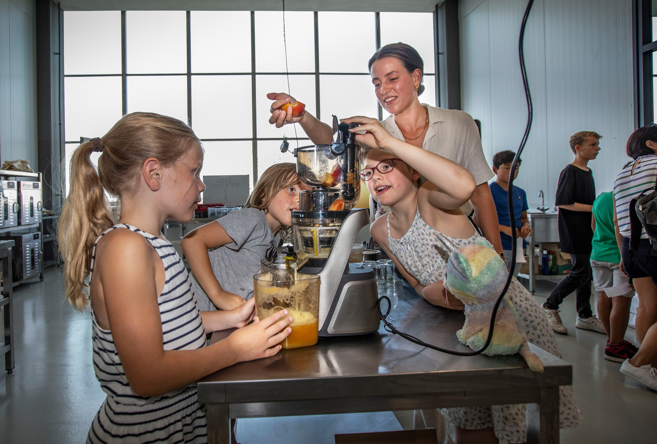 Van brood en worst tot bier en sokken: tientallen lokale ondernemers ...