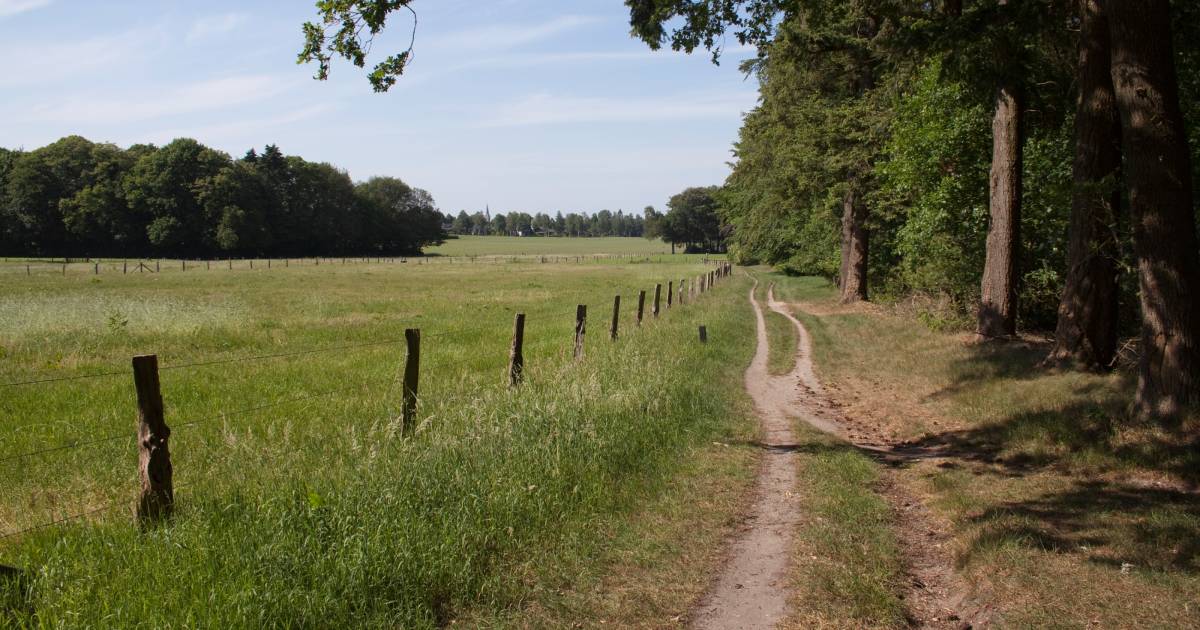 Avondwandeling op de Lochemse Berg staat in het teken van historie en ...