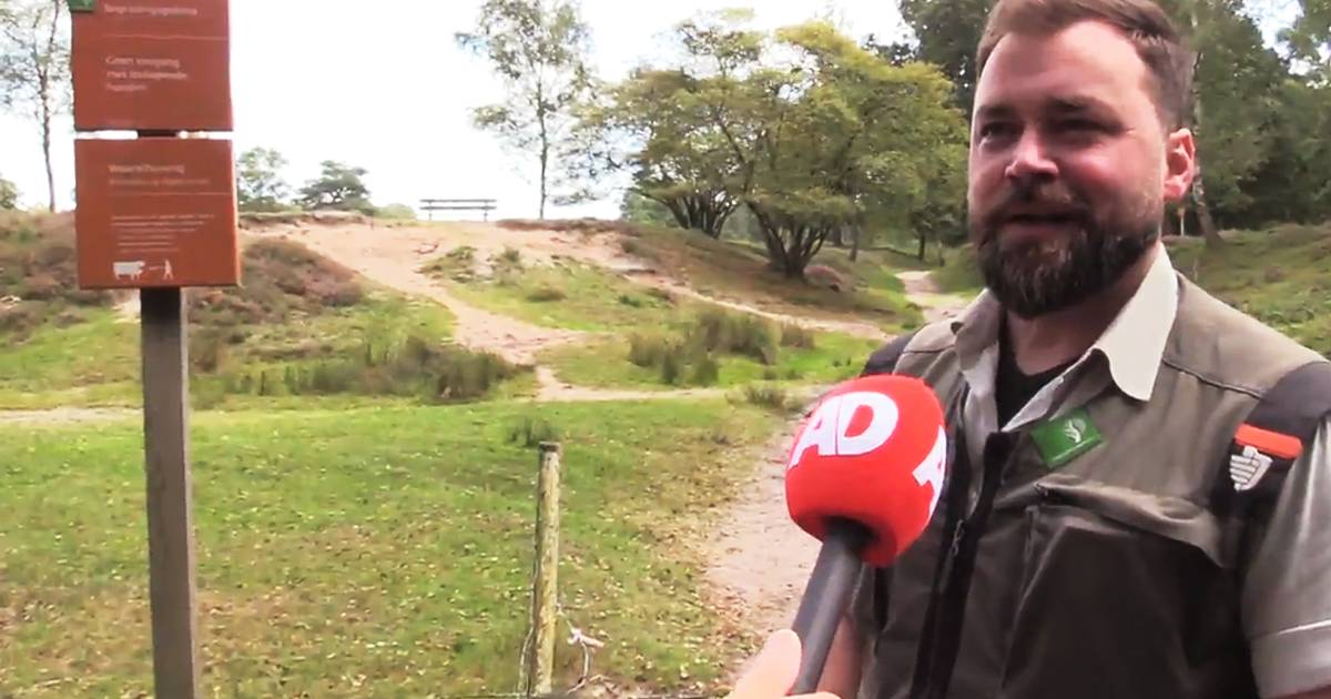 Boswachter Tim is de beste Twitteraar van Nederland | Utrecht | AD.nl