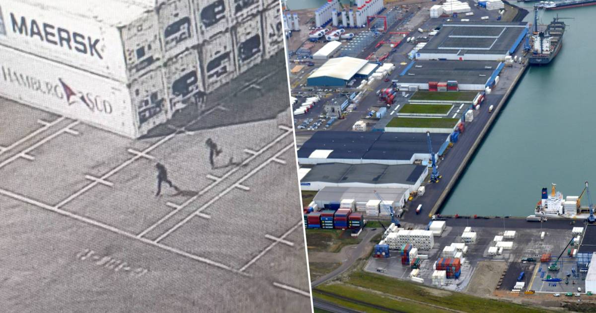 Opnieuw uithalers aangehouden in haven Vlissingen; 9 in een week tijd ...