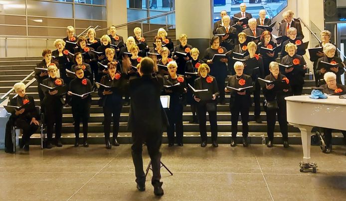 Gemengd koor Chapeau bestaat 25 jaar | Rotterdam | AD.nl