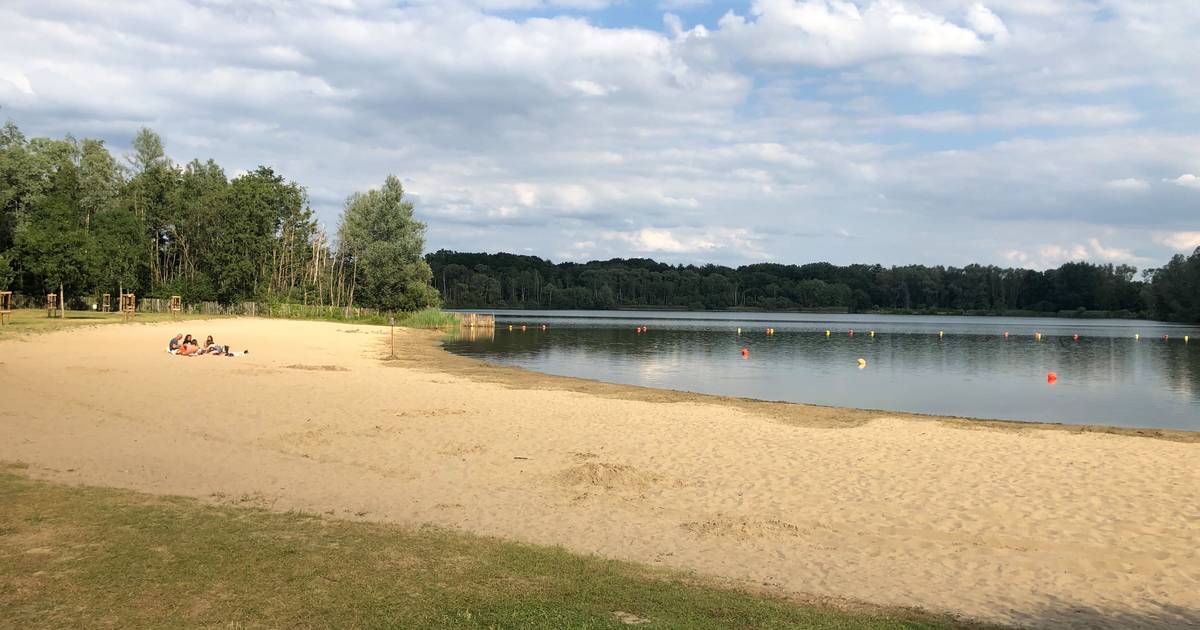 Het wandelpad rond de Plas van Rotselaar wordt vernieuwd | Rotselaar ...