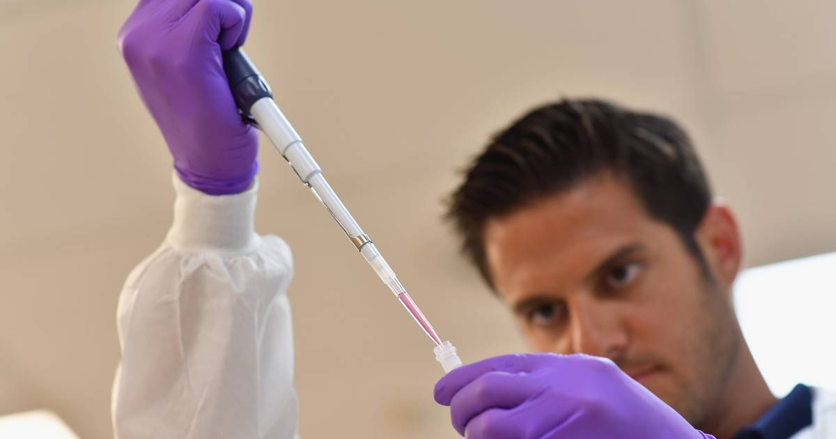 Speurders mogen verdachten binnenkort opsporen aan de hand van DNA ...