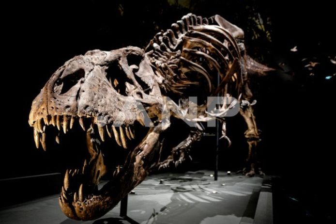 Weekend van de Wetenschap drukbezocht en succesvol: ‘Feedback was beter dan ooit’ | Leiden | AD.nl