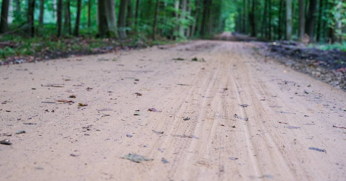 Fietspad langs Tervurenlaan moet twee weken na opening al hersteld ...