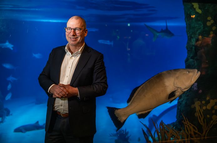 Blijdorp gooide het roer radicaal om, bezoeker: 'Als ze de dieren hier ...