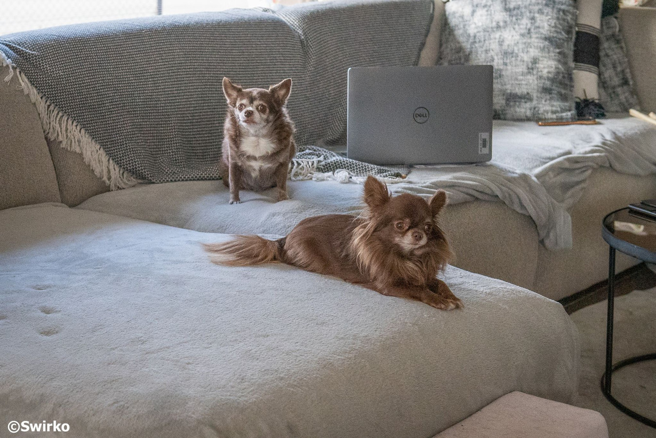 Mike (52) en Hilde (50) krijgen drie jaar vliegverbod van TUI: “Ons ...